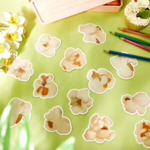 60 Packs Popcorn Mini Accents Fake Popcorn Various Popcorn Stickers with 60 Packs Glue Point Dots Popcorn Decorations for Classroom Blackboard Bulletin Board Wall School