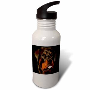 3drose cartoon style nerdy rottie sticking tongue out - water bottles (wb_357087_2)