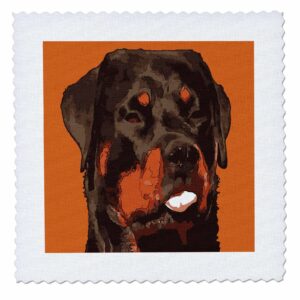 20x20 inch quilt square - cartoon style nerdy rottie sticking tongue out vector art - rottweiler