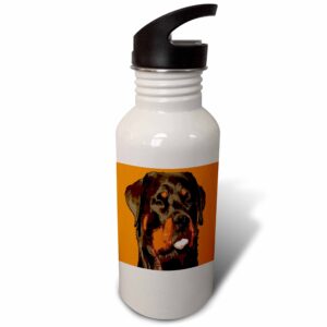 3drose cartoon style nerdy rottie sticking tongue out - water bottles (wb_357086_2)