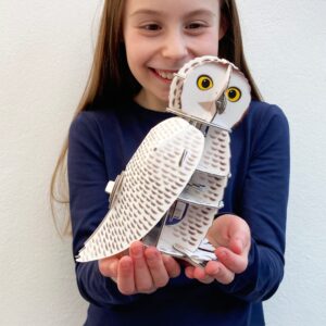 Build Your Own Moving Snowy Owl - Rotating Head Action - Eco Friendly Cardboard Craft Kit - Ages 8+