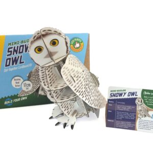 Build Your Own Moving Snowy Owl - Rotating Head Action - Eco Friendly Cardboard Craft Kit - Ages 8+