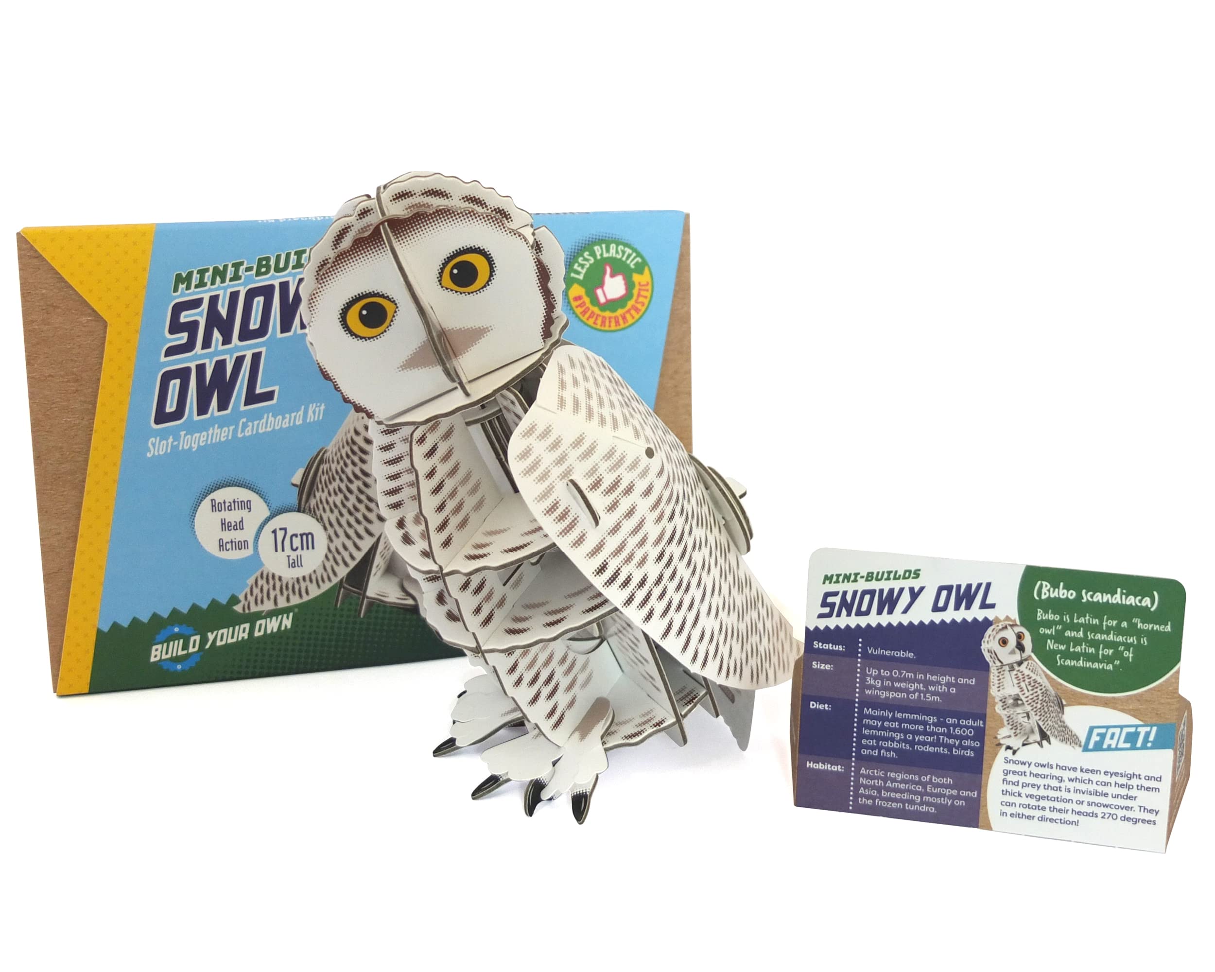 Build Your Own Moving Snowy Owl - Rotating Head Action - Eco Friendly Cardboard Craft Kit - Ages 8+