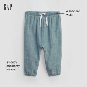 GAP Unisex Baby Chambray Pants, Chambray 042, 3-6 Months US