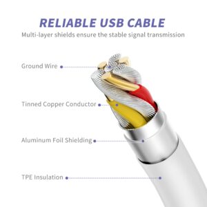 iPhone 16 15 Charger Fast Charging,20W USB C Fast Charger for iPhone 16/15 Pro Max,iPad Pro 12.9,11 inch,iPad Air 5th/4th 10.9 inch, iPad Mini 6,PD Wall Charger with 6 Ft USB C to USB C Cable