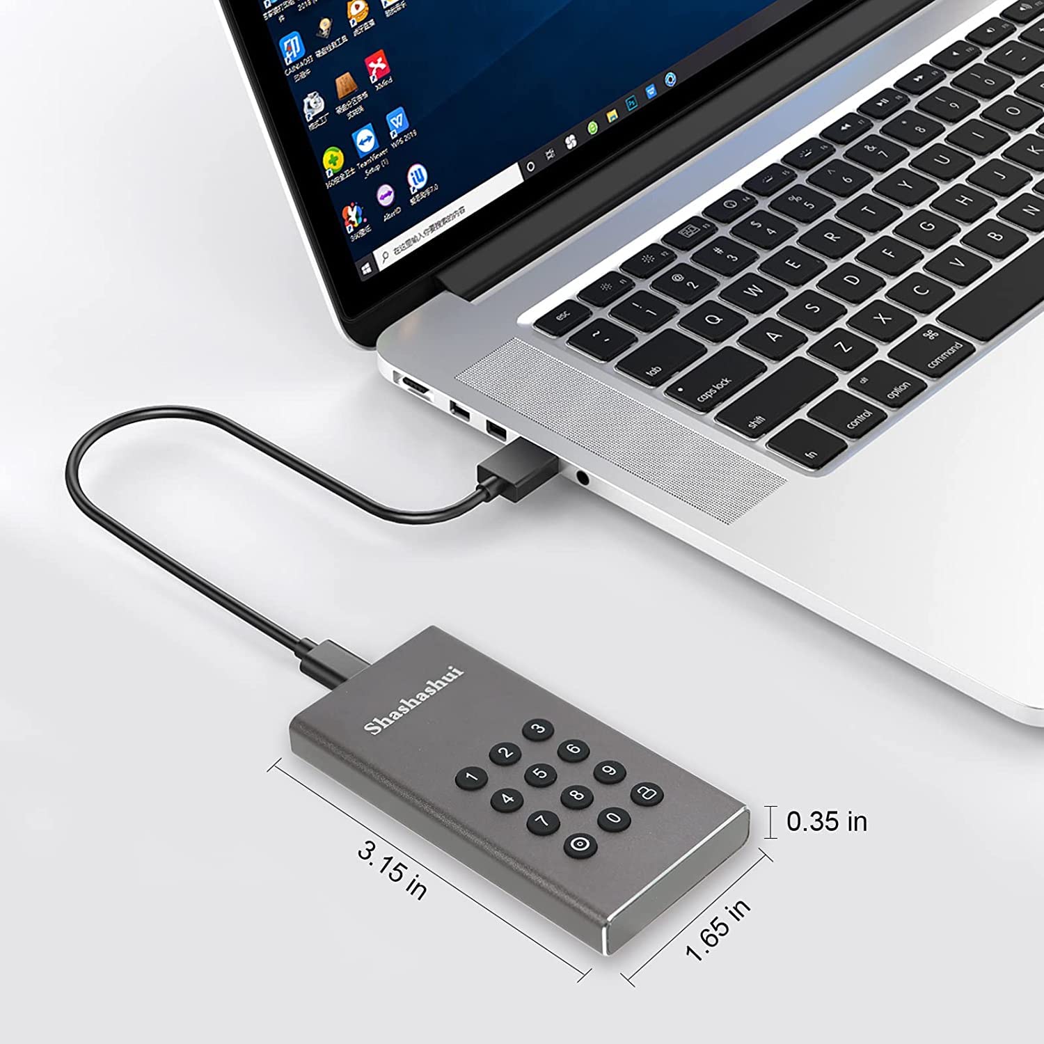 sasashui Encrypted Potable SSD Drive,AES256 Keypad Lock Secure USB 3.0 Hard Drive External Solid State Drive with High Speed up to 350MB/s (128G)