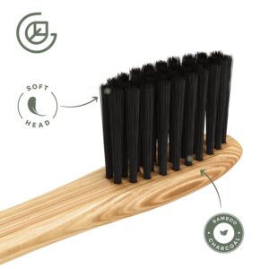 GREENZLA Bamboo Toothbrush Family Bundle | 4 Pack Adult Travel Toothbrush with Case and Charcoal Dental Floss | 6 Pack BPA Free Soft Bristle Kids Toothbrush