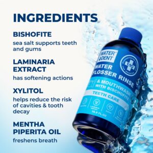 WATER DENT Concentrated Irrigant, Mouthwash Teeth Care | Add to Water Flossers | Mint Flavor | Pack of 2 = 372 fl.oz | Alcohol Free, Fluoride Free. Made in USA