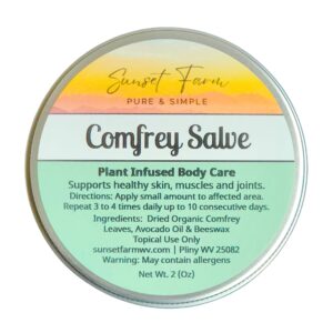 comfrey salve herbal balm skin body care ointment 2 oz