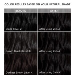 Madison Reed Radiant Hair Color Kit, Blackest Black for 100% Gray Coverage, Ammonia-Free, 2NNA Pescara Black, Permanent Hair Dye, Pack of 1