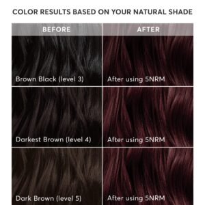 Madison Reed Radiant Hair Color Kit, Permanent Hair Dye, 100% Gray Coverage, Ammonia-Free, Trieste Red 5NRM Dark Mahogany red, Pack of 1