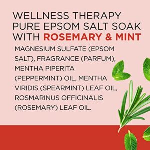 Dr Teal's Pure Epsom Magnesium Salt Soak, Wellness Therapy with Rosemary & Mint, 3 lbs (Pack of 4)