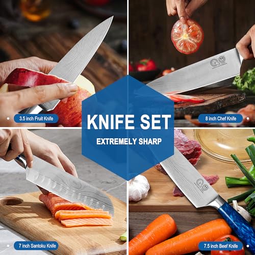 XYJ Authentic Since1986,Professional Knife Sets for Master Chefs,Knife Set with Bag,Case, Scissors,Culinary Kitchen Butcher Knives,Cooking Cutting,Damascus Laser Pattern (Blue)