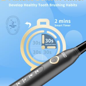 SEAGO Electric Toothbrush for Adults, Ultrasonic Toothbrushes with 8 Brush Heads, Rechargeable Electronic Toothbrush, Black, SG-507