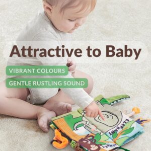 bc babycare 6 PCS Baby Books 0-6 Months,BabyToys 0-6 Months,Montessori Toys for Babies 6-12 Months,Baby Toys for Baby Boy Gifts