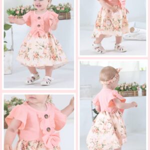 Newborn Baby Girl Dress Floral Ruffle Sleeve Casual Beach Sundress Princess Skirt Clothes Summer Outfits Dresses for Girls (Pink, 3-6 Months)