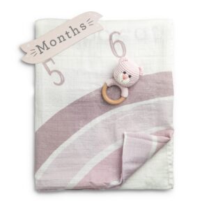 demdaco welcome to the world pink baby rattle and monthly milestone blanket set of 3