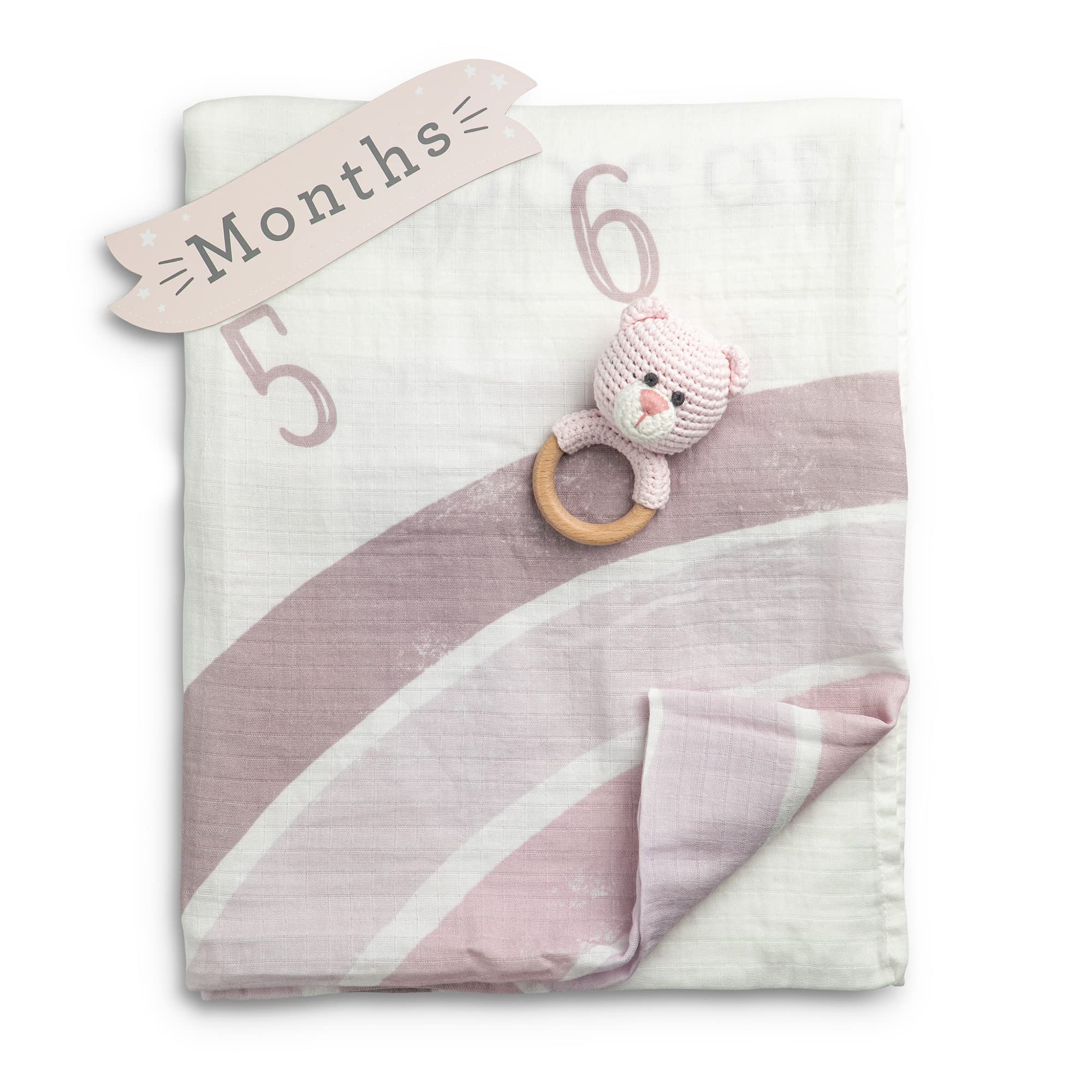 DEMDACO Welcome to The World Pink Baby Rattle and Monthly Milestone Blanket Set of 3