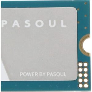 PASOUL SSD 256GB NVMe M.2 2280 PCIe Gen 3.0 x2 3D TLC Power Saving Up to 2000MB/s Write Up to 1200MB PAMNVMeM2-256