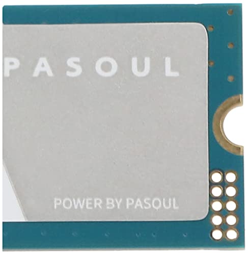 PASOUL SSD 256GB NVMe M.2 2280 PCIe Gen 3.0 x2 3D TLC Power Saving Up to 2000MB/s Write Up to 1200MB PAMNVMeM2-256