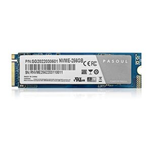 pasoul ssd 256gb nvme m.2 2280 pcie gen 3.0 x2 3d tlc power saving up to 2000mb/s write up to 1200mb pamnvmem2-256