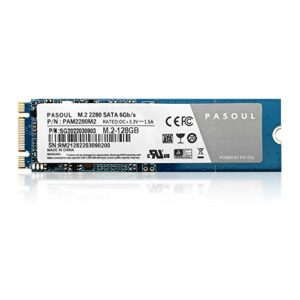 pasoul ssd 128gb sata m.2 2280 6gb/s compliant 3d tlc max read 530mb/s write 400mb pam2280m2-128