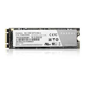 pasoul ssd 256gb sata m.2 2280 6gb/s compliant 3d tlc max read 530mb/s write 450mb pam2280m2-256