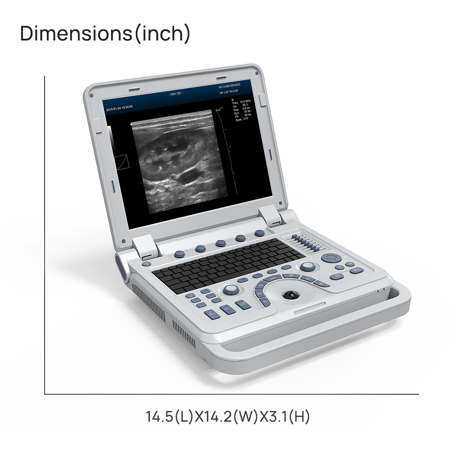 Veterinary B-Ultrasound Scanner with High Resolution and PW Doppler for Animal Horse Equine Goat Dog Rabbit Snake Dolphin Convex & Linear Probe