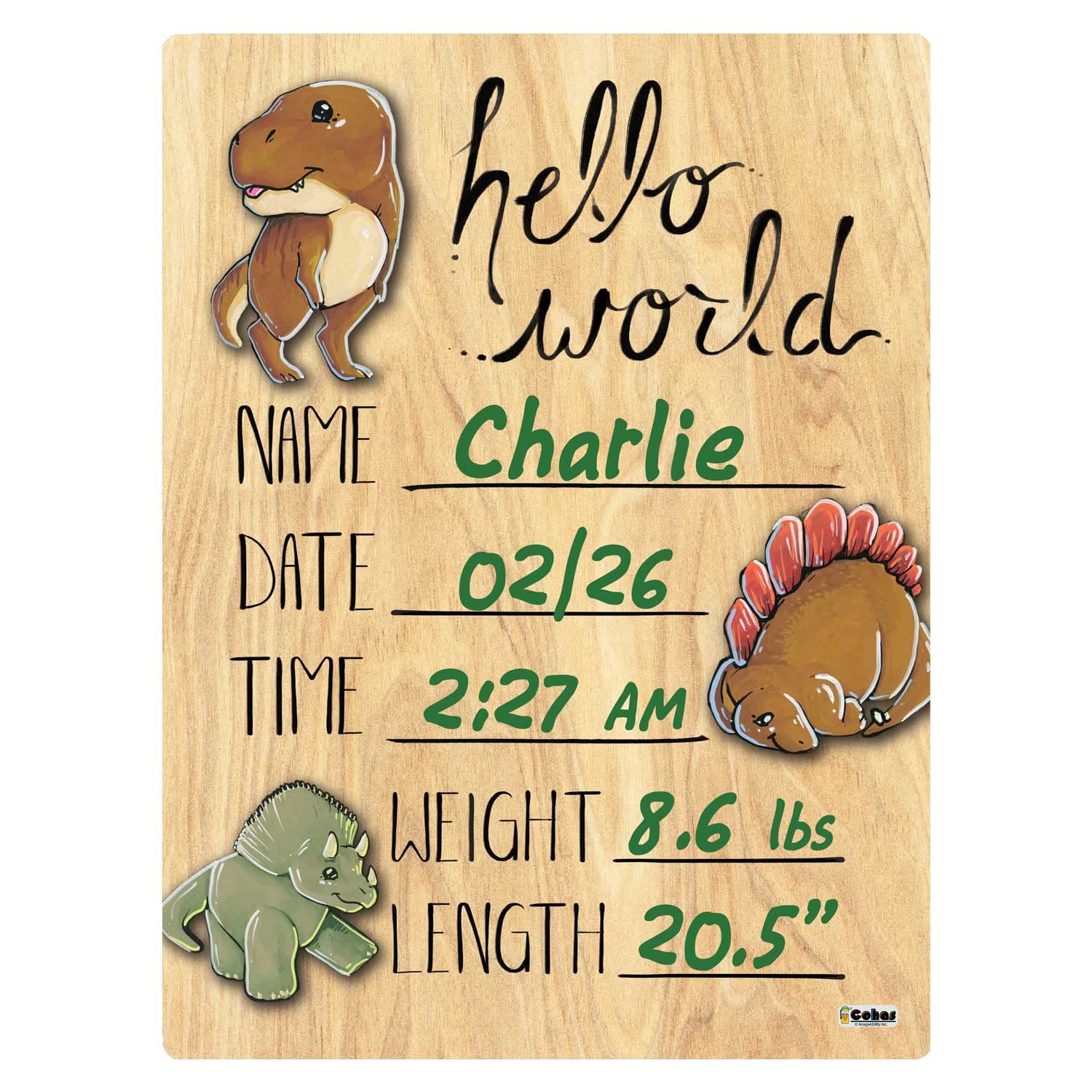 Cohas Hello World Newborn Baby Announcement Printed Wood Sign with Dinosaur Theme, 5 by 7 Inches, Green Marker