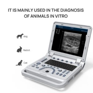 Veterinary B-Ultrasound Scanner with High Resolution and PW Doppler for Animal Horse Equine Goat Dog Rabbit Snake Dolphin Convex & Linear Probe