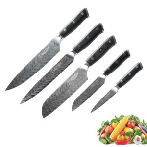 chuyiren kitchen knife set 5 pcs, 3.5-8" high-carbon stainless steel chef knife set classic triple rivet, professional ultra sharp japanese knife set with elegant black wood ergonomic handle gift box