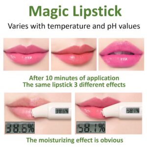 4 Pack Aloe Vera Lipstick,Long Wear Nourishing Lip stick,Waterproof Moisturizing Color Changing Lip Balm Lipstick,Lip Gloss,Magic Temp Color Change Matte Lip Gloss Makeup