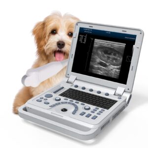 veterinary b-ultrasound scanner with high resolution and pw doppler for animal horse equine goat dog rabbit snake dolphin convex & linear probe