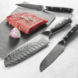 CHUYIREN Kitchen Knife Set 5 PCS, 3.5-8" High-Carbon Stainless Steel Chef Knife Set Classic Triple Rivet, Professional Ultra Sharp Japanese Knife Set with Elegant Black Wood Ergonomic Handle Gift Box