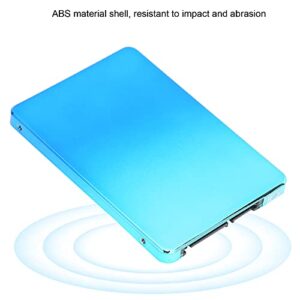 Interface SSD, Efficient Stable Transmission Good Compatibility Solid State Drive Lightweight for Data Storage for Files Backup(#2)