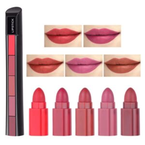 dulele 5 color matte lipstick set velvet lip stick non-stick lip gloss long lasting waterproof red lipstick makeup mini lipstick set (b, m)