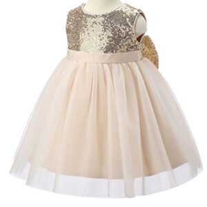 Bow Dream 2pcs Baby Girl Dresses Party Infant Birthday Gown for 0-24 Months Gold Sequin Champagne Tulle 3-6 Months