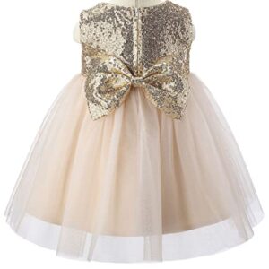 Bow Dream 2pcs Baby Girl Dresses Party Infant Birthday Gown for 0-24 Months Gold Sequin Champagne Tulle 3-6 Months