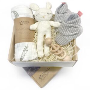 moody park baby gift basket - gender neutral baby items, baby boy gift set, baby shower basket, baby welcome box, baby boy gift basket, new born boy baby gift