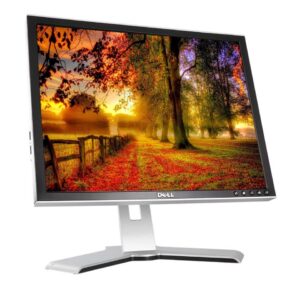 Dell P2210F Computer Desktop Tower LCD 22 Inch Monitor, VGA, DVI Ports, 5ms Response time, 1680 x 1050 Resolution, 170° /160° Viewing Angle (Renewed)