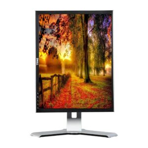 Dell P2210F Computer Desktop Tower LCD 22 Inch Monitor, VGA, DVI Ports, 5ms Response time, 1680 x 1050 Resolution, 170° /160° Viewing Angle (Renewed)