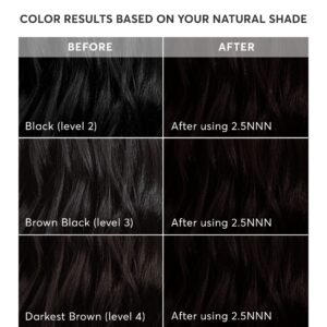 Madison Reed Radiant Hair Color Kit, Soft Black for 100% Coverage of Resistant Gray Hair, Ammonia-Free, 2.5NNN Parma Black, Permanent Hair Dye, Pack of 1