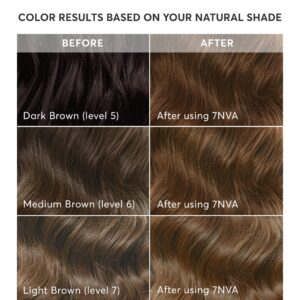 Madison Reed Radiant Hair Color Kit, Light Smoky Brown for 100% Gray Coverage, Ammonia-Free, 7NVA Veneto Light Brown, Permanent Hair Dye, Pack of 1