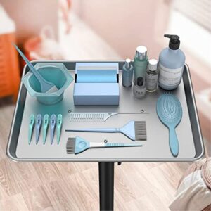 TASALON Salon Tray On Wheel (Silver Tray (Upgrade))