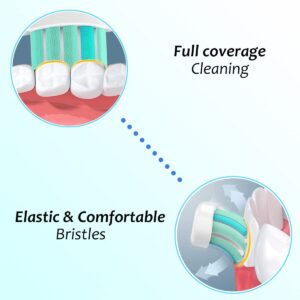 Hesubam Replacement Toothbrush Heads for Philips Sonicare E-Series Screw-On Electric Toothbrush Essence CleanCare Advance Elite Xtreme, and Refills for HX7022, HX7023, 6Pack