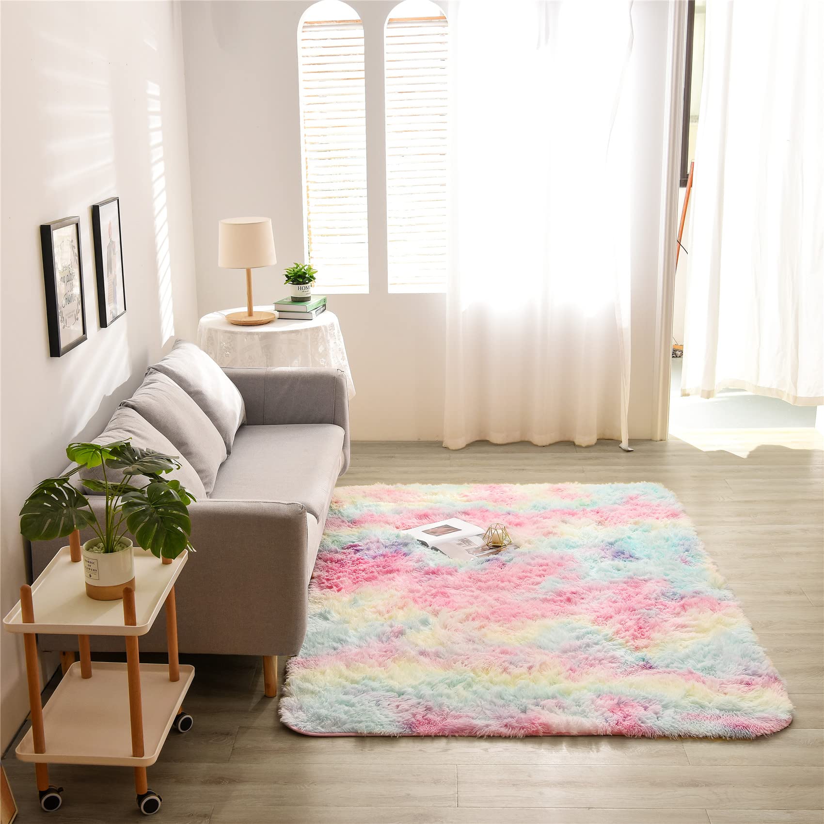 Meeting Story Tie Dye Area Rugs Rainbow Ombre Shaggy Rugs Soft and Fuzzy for Girls Bedroom Living Room Toddlers Baby and Pet Play Space (Pink, 3 * 5 Feet)