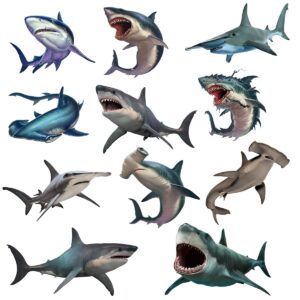 mefoss 11 pcs 3d large shark wall decal stickers, ocean animal under the sea wall decal stickers, peel and stick removable sea creature shark stickers for kids room playroom bathroom baby nursery wall decor