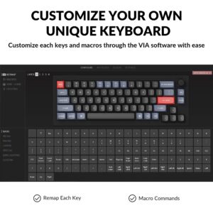 Keychron V2 Wired Custom Mechanical Keyboard Knob Version, 65% Layout QMK/VIA Programmable with Hot-swappable Keychron K Pro Blue Switch Compatible with Mac Windows Linux Carbon Black(Non-Transparent)