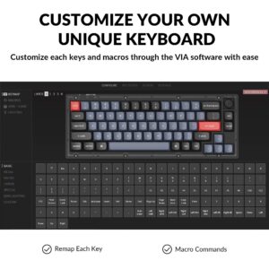 Keychron V2 Wired Custom Mechanical Keyboard Knob Version, 65% Layout QMK/VIA Programmable with Hot-swappable Keychron K Pro Blue Switch Compatible with Mac Windows Linux (Frosted Black - Translucent)