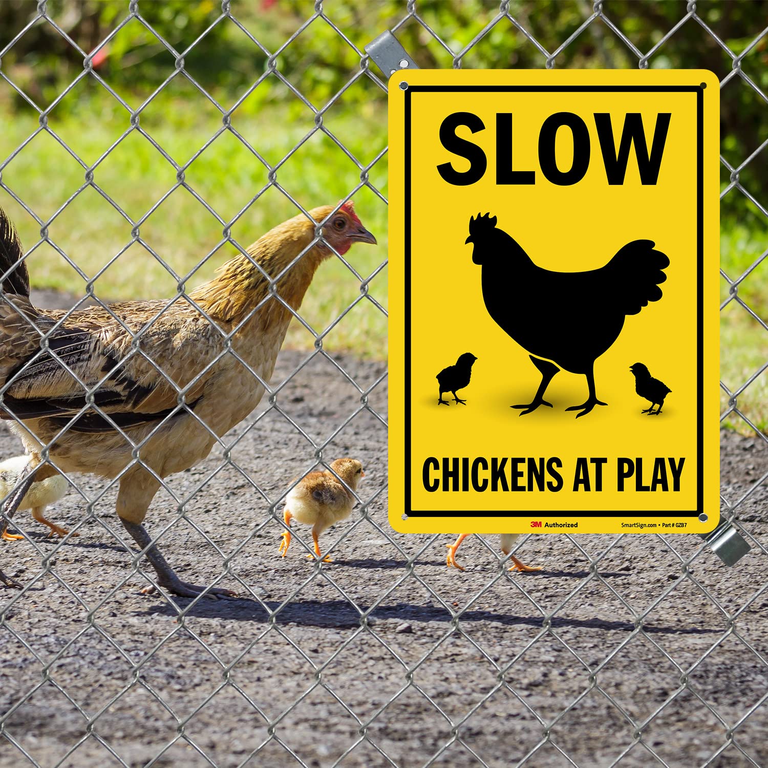 SmartSign 14 x 10 inch “Slow - Chickens At Play” Metal Sign, 40 mil Aluminum, 3M Laminated Engineer Grade Reflective Material, Black and Yellow